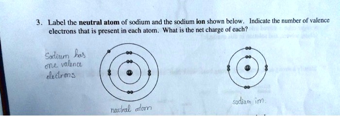 SOLVED: Label the neutral atom of sodium and the sodium ion shown below ...
