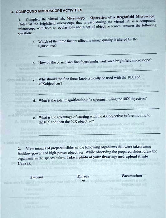 C. COMPOUND MICROSCOPE ACTIVITIES 1. Complete the virtual lab, Microscopy - Operation of a ...
