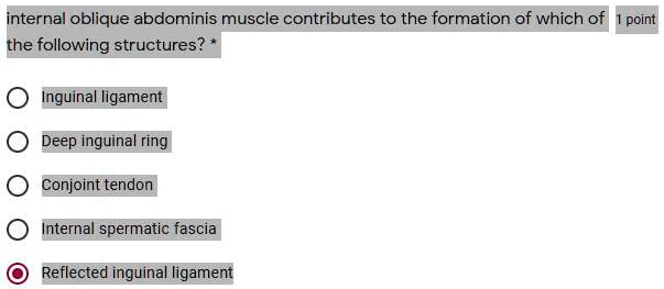 Internal oblique abdominis muscle contributes to the...