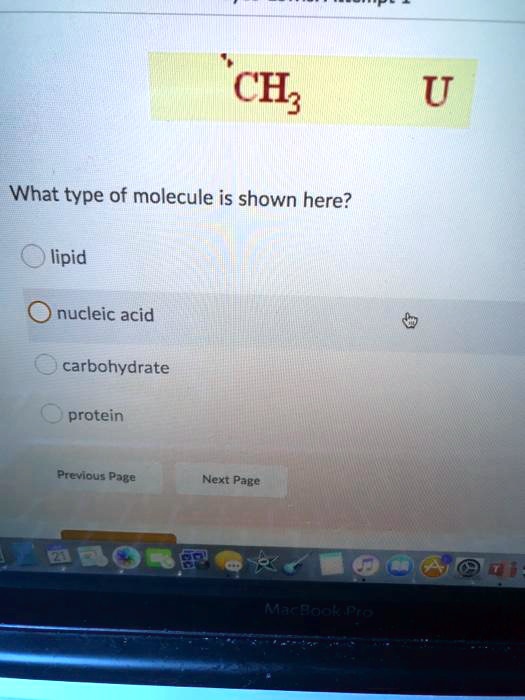 SOLVED: CH; U What type of molecule is shown here? lipid nucleic acid ...