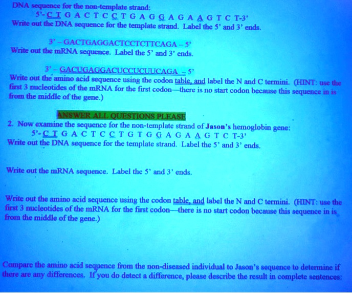 SOLVED: DNA sequence for the non-template strand: SCIGAcTcCtGA G G A G A A G T C T-3' Write out ...