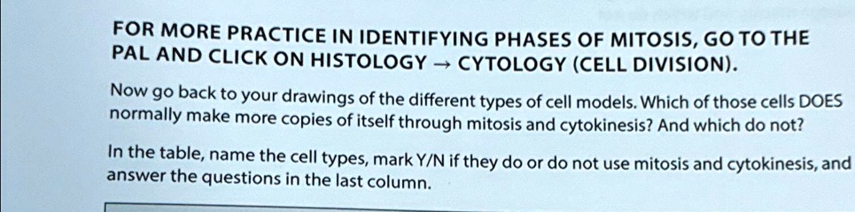 FOR MORE PRACTICE IN IDENTIFYING PHASES OF MITOSIS, GO TO THE PAL AND ...