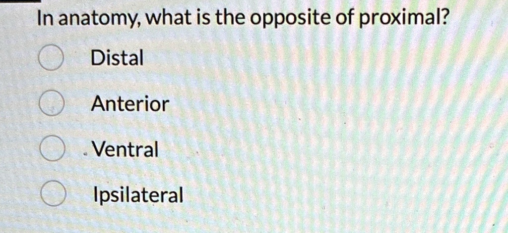 In anatomy, what is the opposite of proximal? Distal Anterior Ventral ...