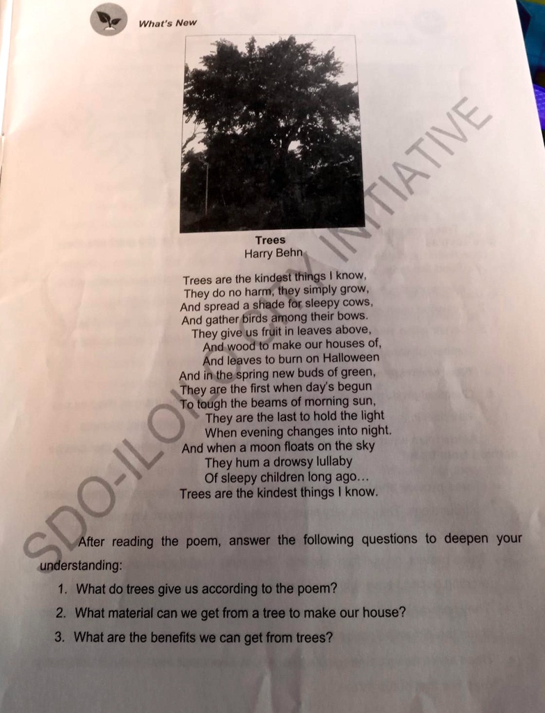 SOLVED: What's New Trees Harry Behn Trees are the kindest things we ...