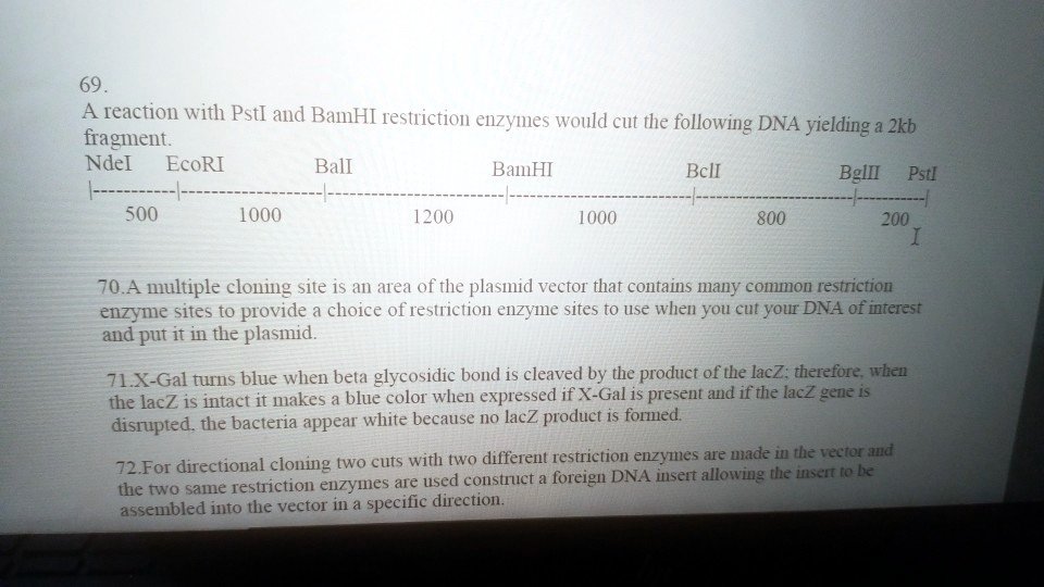 SOLVED: 69 A reaction with Pstl and BamHI restriction enzyies Would cut ...