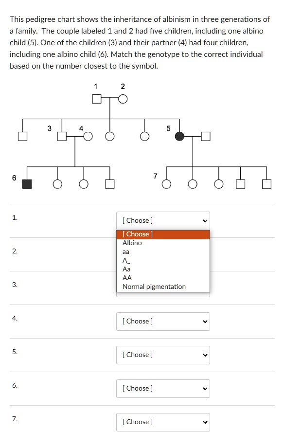 this pedigree chart shows the inheritance of albinism in three ...