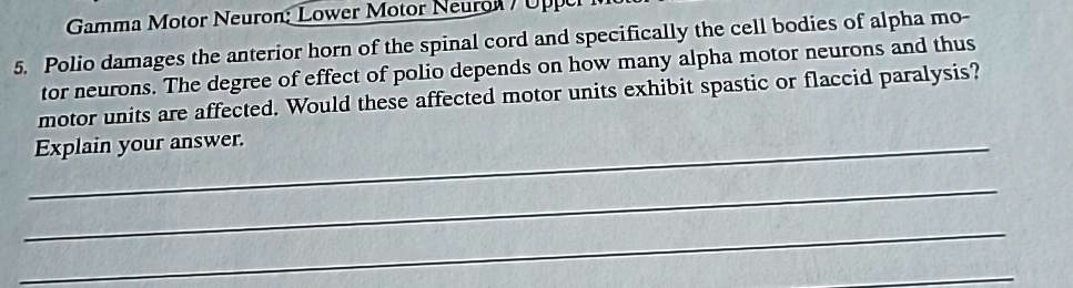 SOLVED: Gamma Motor Neuron: Lower Motor inal cord and specifically the ...