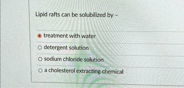 SOLVED: Lipid rafts can be solubilized by treatment with water ...