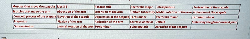 SOLVED: 'How can I make a concept map using these words and linking ...