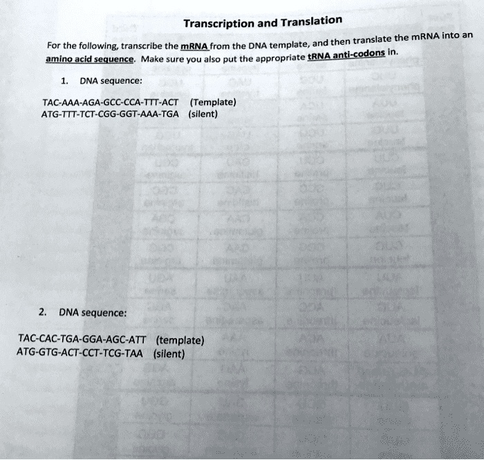 SOLVED: Transcription and Translation translate the mRNA into an amino acid sequence. For the ...