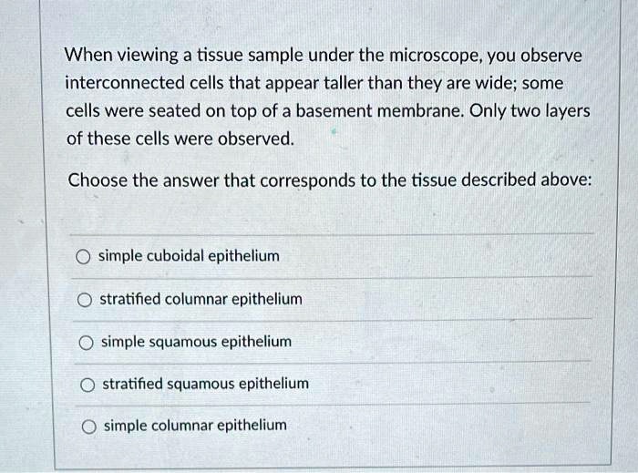SOLVED: When viewing a tissue sample under the microscope, you observe ...