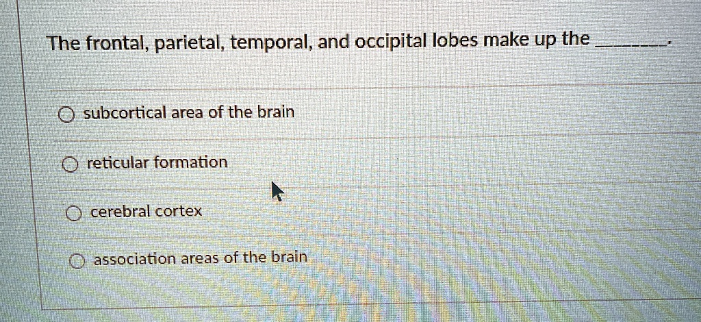 The frontal, parietal, temporal, and occipital lobes make up the ...