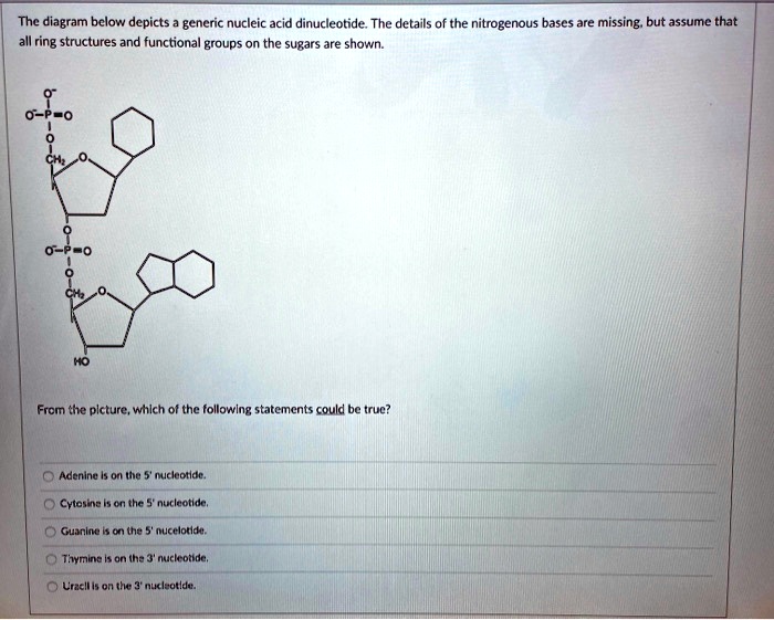 SOLVED: The diagram below depicts. generic nucleic acid dinucleotide ...