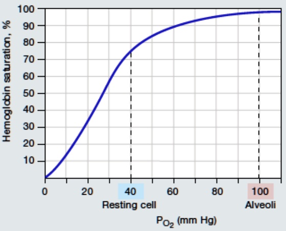 SOLVED: A COPD patient had a PO2 of 60 mmHg and their hematocrit ...