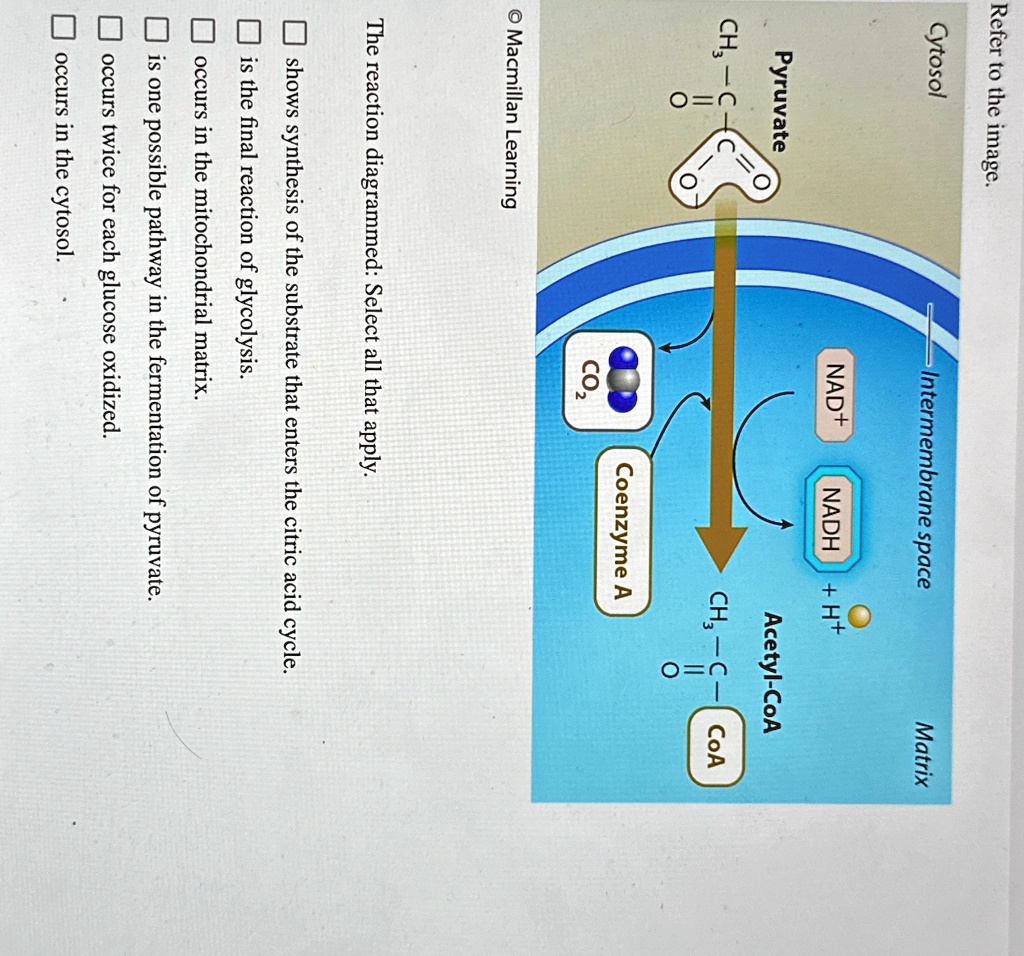 Refer to the image. Cytosol Intermembrane space Matrix NAD+ NADH + H+ ...