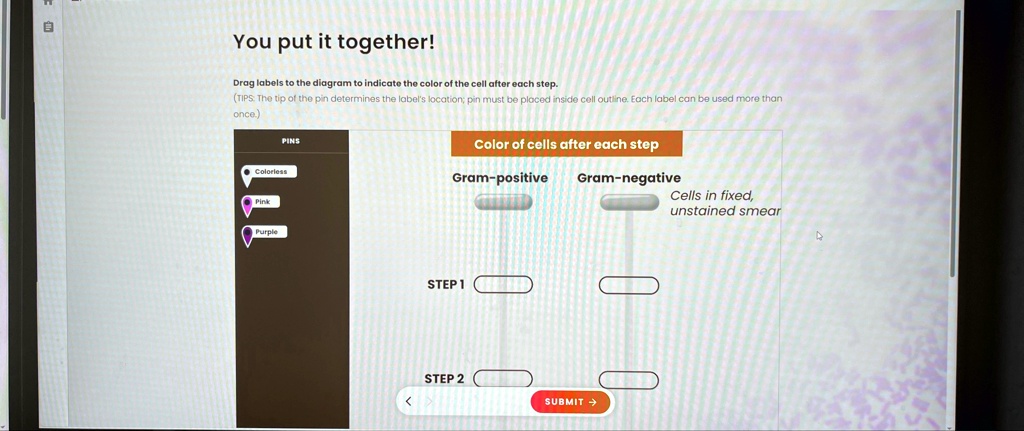 you put it together drag labels to the diagram to indicate the color of the cell after each step ...