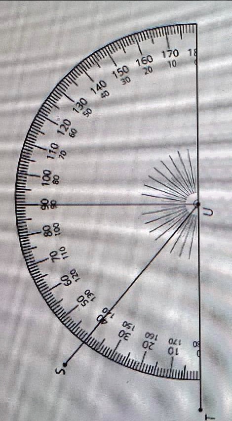 SOLVED: 'Tyler and Priya were both measuring angle TUSPriya thinks the ...