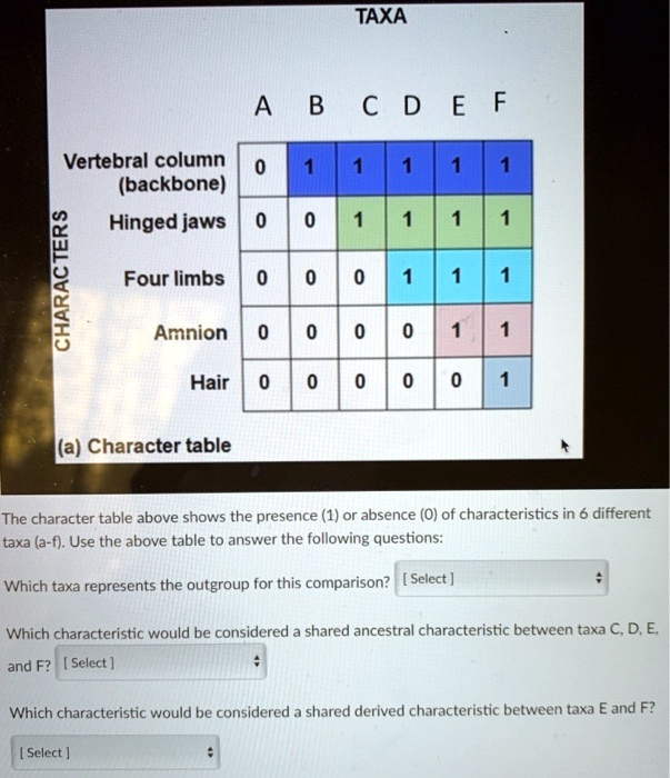 taxa a b c d e f vertebral column backbone hinged jaws 2 j four limbs ...