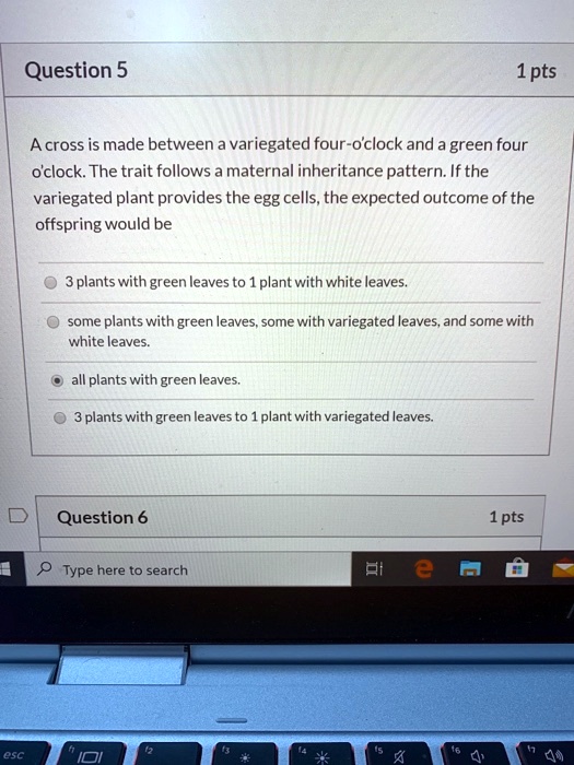 SOLVED: Question 5 1pts A cross is made between variegated four ... SOLVED: Question 5 1pts A cross is made between variegated four ...