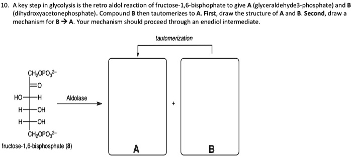 SOLVED: A key step in glycolysis is the retro aldol reaction of ...