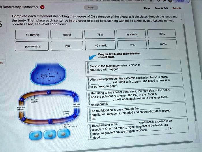 SOLVED: Respiratory Homework Hello Savo Exlt Submn Complete each ...