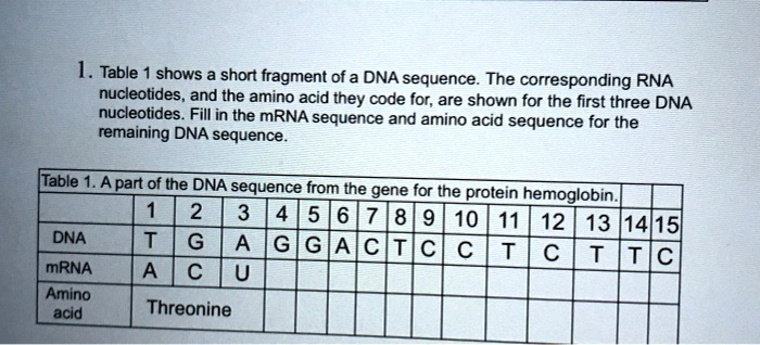 table shows a short fragment of a dna sequence the corresponding rna nucleotides and the amino ...