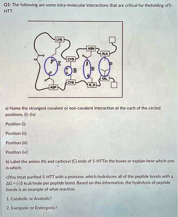 Solved The Following Are Some Intra Molecular Interactions That Are