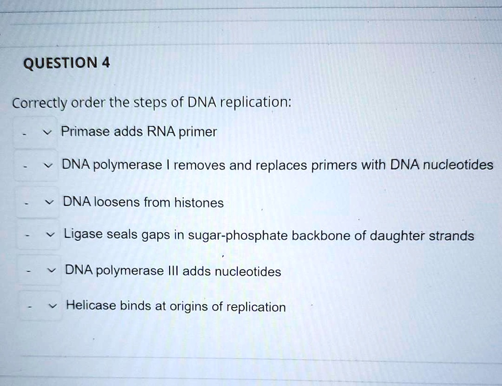 SOLVED:QUESTION 4 Correctly order the steps f DNA replication: Primase ...