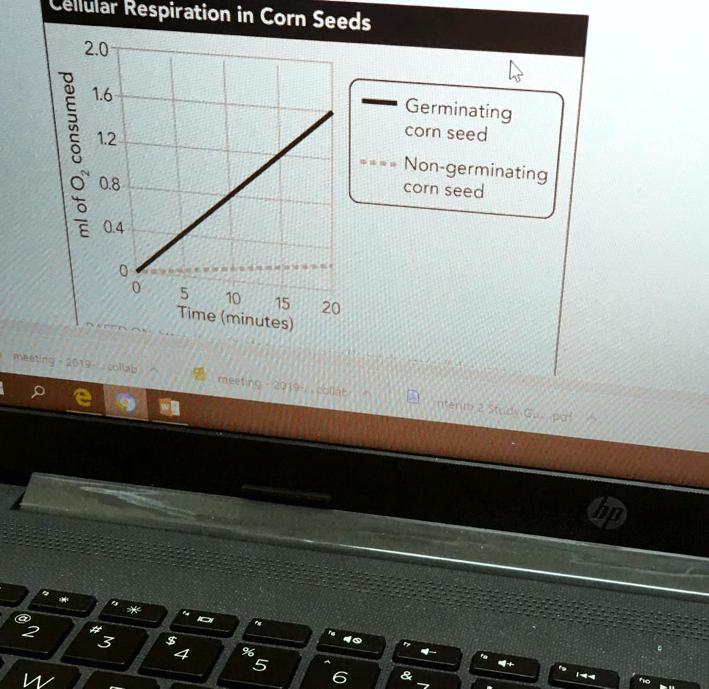 SOLVED: Callie did a lab during which she investigated the difference ...