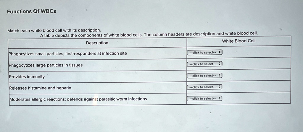 functions of wbcs match each white blood cell with its description a ...