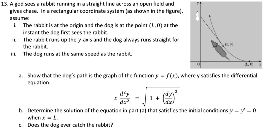 SOLVED: A god sees a rabbit running in a straight line across an open ...