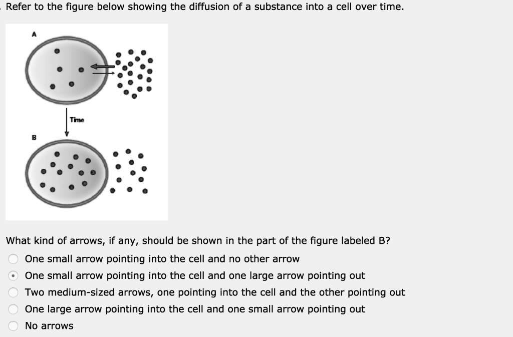 Refer to the figure below showing the diffusion of a substance into a ...