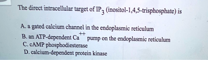 SOLVED:The direct intracellular target of IP3 (inositol-1,4,S ...
