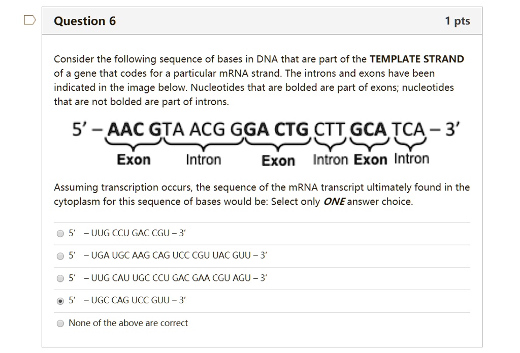 question 6 pts consider the following sequence of bases in dna that are part of the template ...