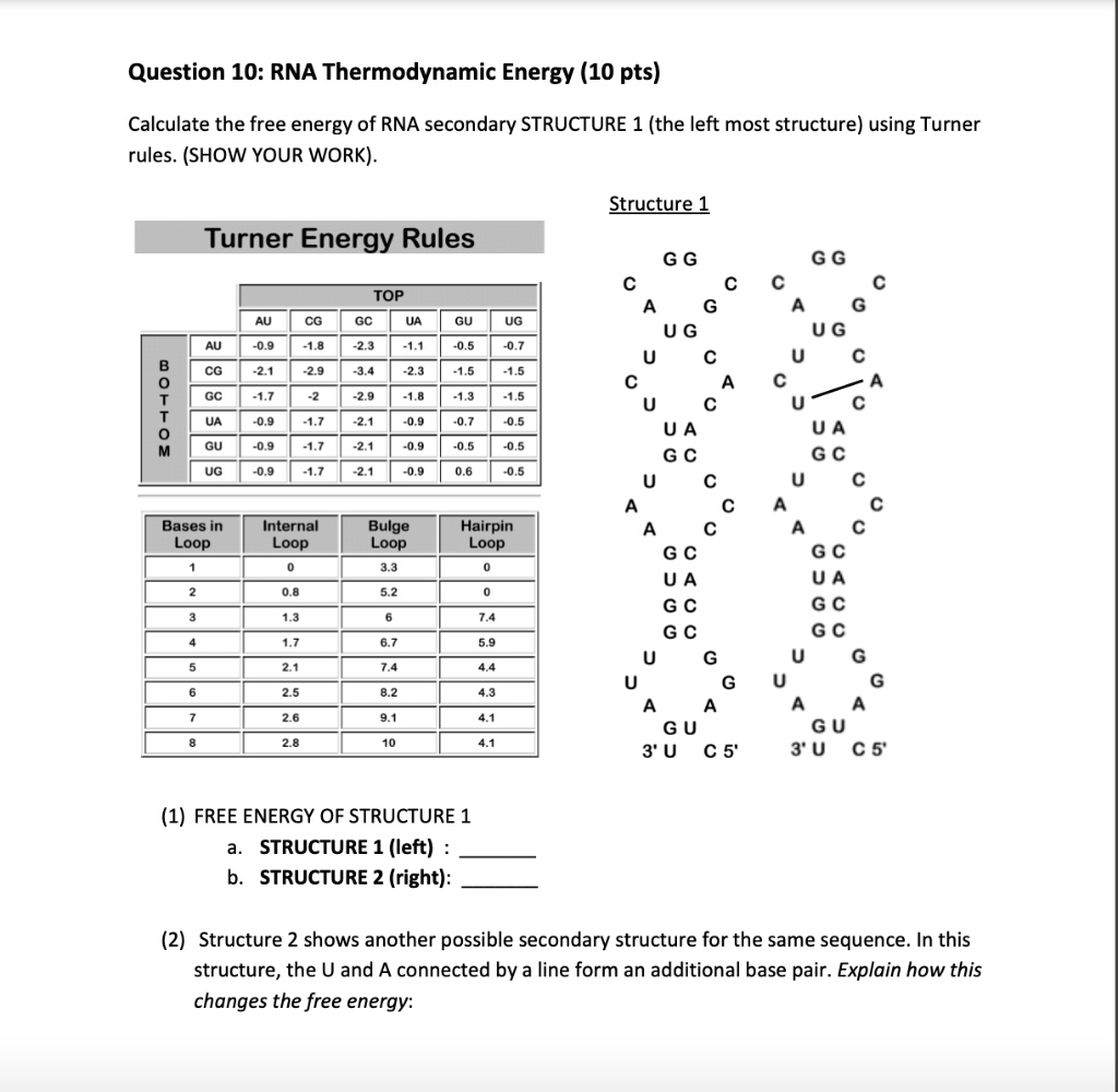 [get Answer] Question 10 Rna Thermodynamic Energy 10 Pts Calculate The Free Energy Of Rna