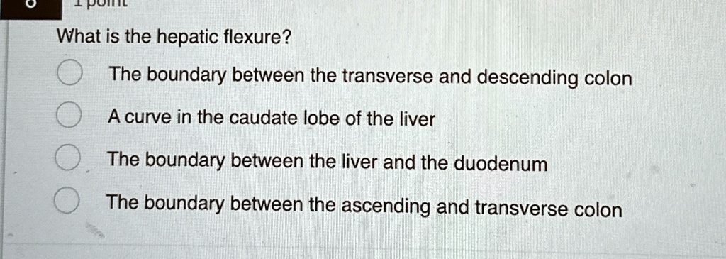 What is the hepatic flexure? The boundary between the...
