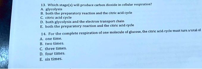 SOLVED: Which stage(s) will produce carbon dioxide in cellular ...