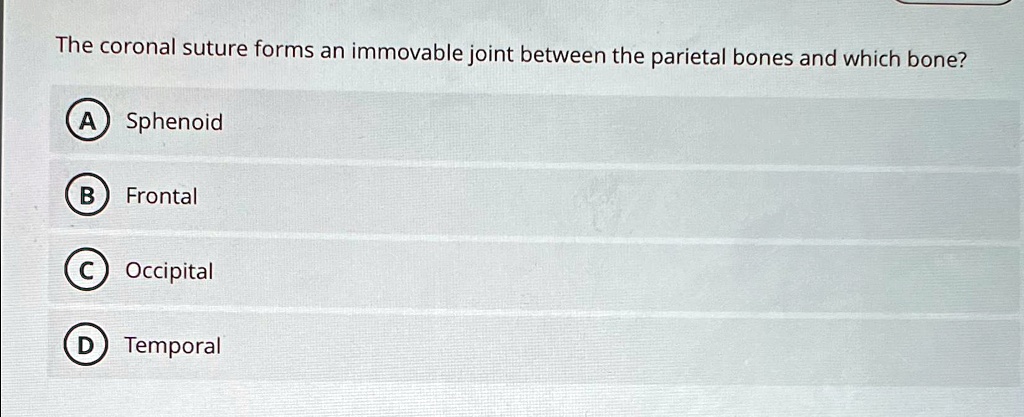 The coronal suture forms an immovable joint between the parietal bones ...