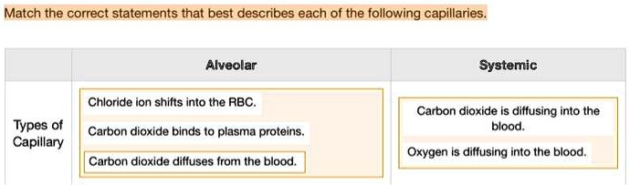 SOLVED: Match with the correct term. Match the correct statements that best describes each of ...