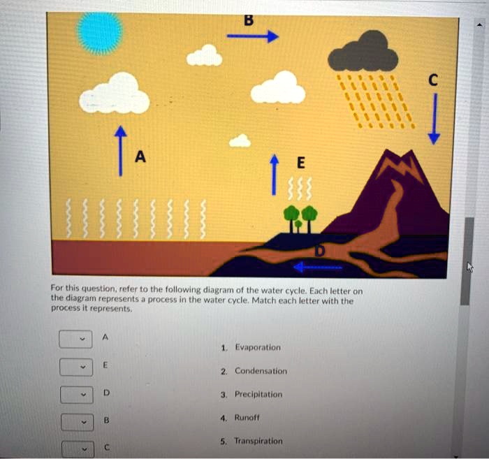SOLVED: For this question, refer to the following diagram of the water ...