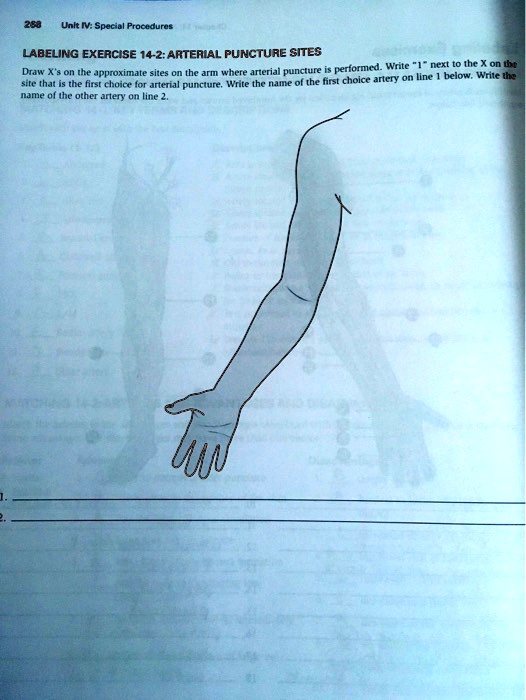 [GET ANSWER] 288 Unit IV: Special Procedures LABELING EXERCISE 14-2 ...