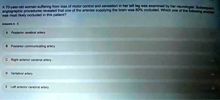 was most likely occluded in this patient annwera e a posterior cerebral ...