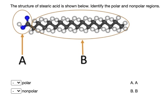 SOLVED: The structure of stearic acid shown below: Identify the polar ...
