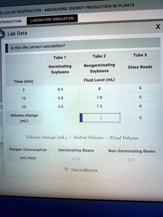 ELLULAR RESPIRATION MEASURING ENERGY PRODUCTION IN PLANTS NTRODUCTION ...