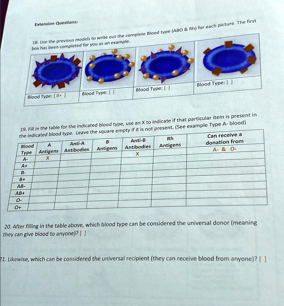 Extension Questions: 18. Use the previous models to write out the ...
