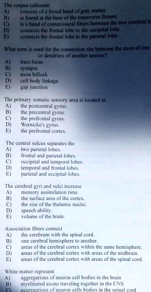 the corpus callosum consists of a broad band of gray maller is found at ...