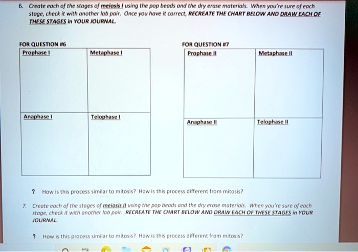 SOLVED: Create each of the stages of meiosis using the pop beads and ...
