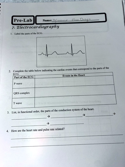 SOLVED: Pre-Lab Name: Electrocardiography 1. Label the parts of the ECG ...