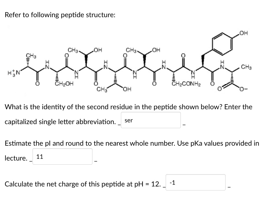 refer to following peptide structure h0h ch2conh2 what is the identity ...