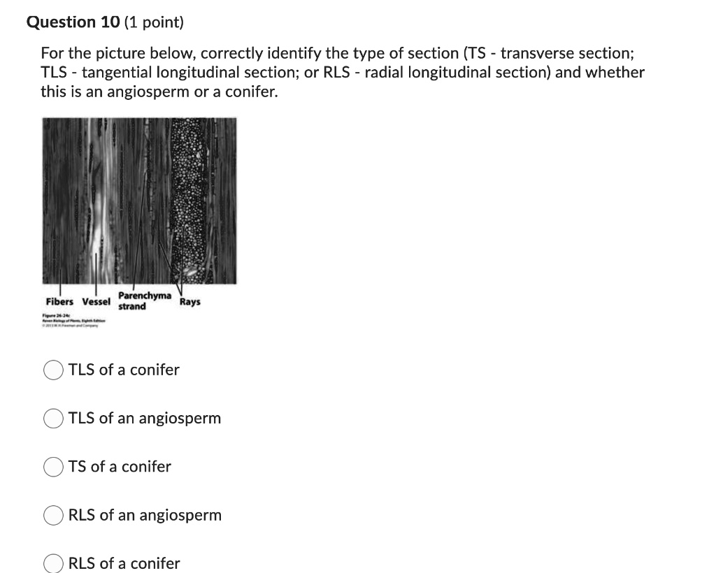 SOLVED: Question 10 (1 point) For the picture below, correctly identify ...